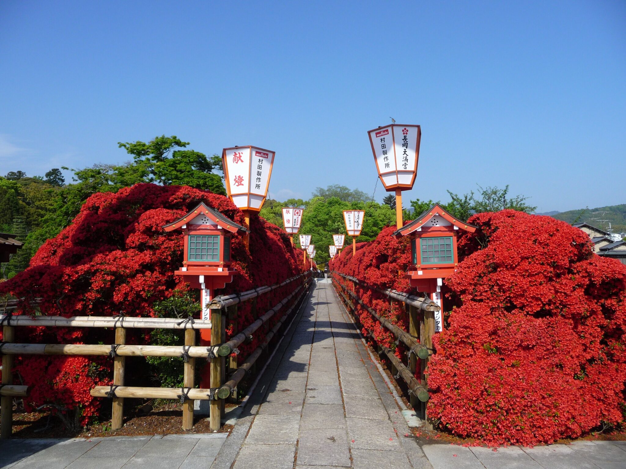 Top Things to See and Do in Kyoto, Japan: A Guide from JR Kyoto Station ...