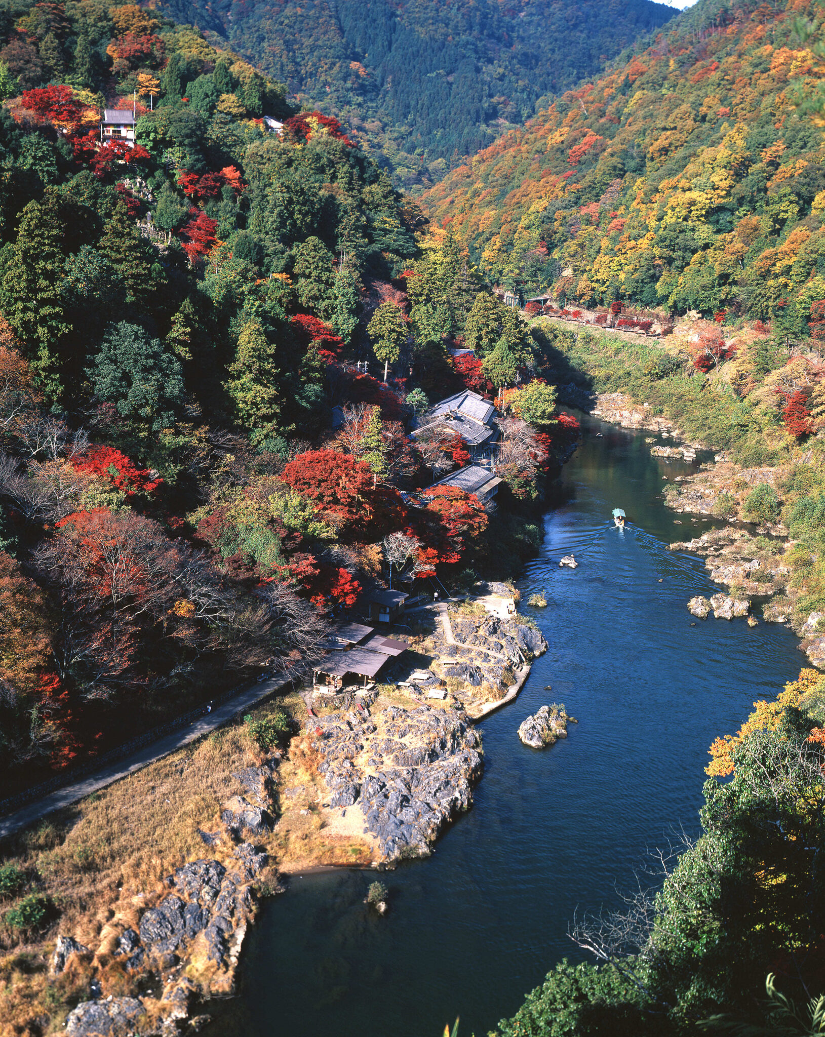 Sagano Romantic Train | Sightseeing Spots | Another Kyoto Official ...