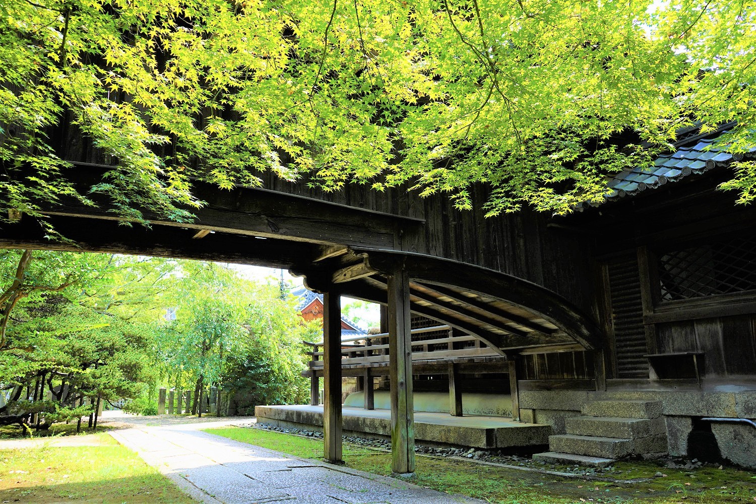 10 Inspiring Places in Western Kyoto: Bamboo Groves, Temples, and ...