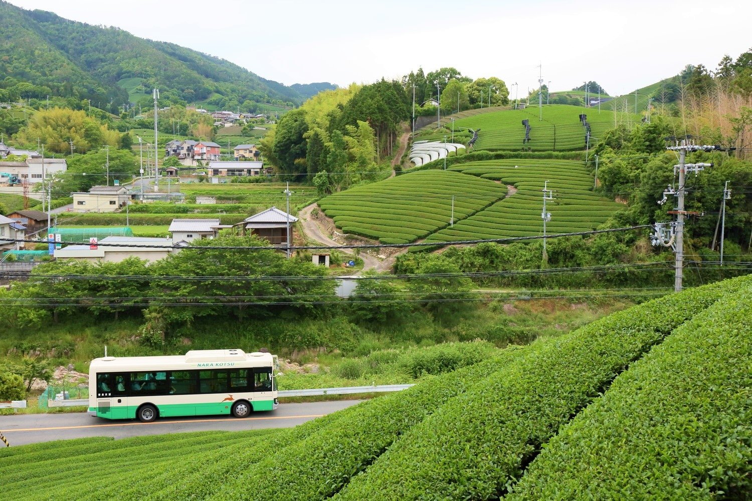 A Day Trip to Wazuka, Kyoto: Explore Tea Plantations, Matcha Art, and ...