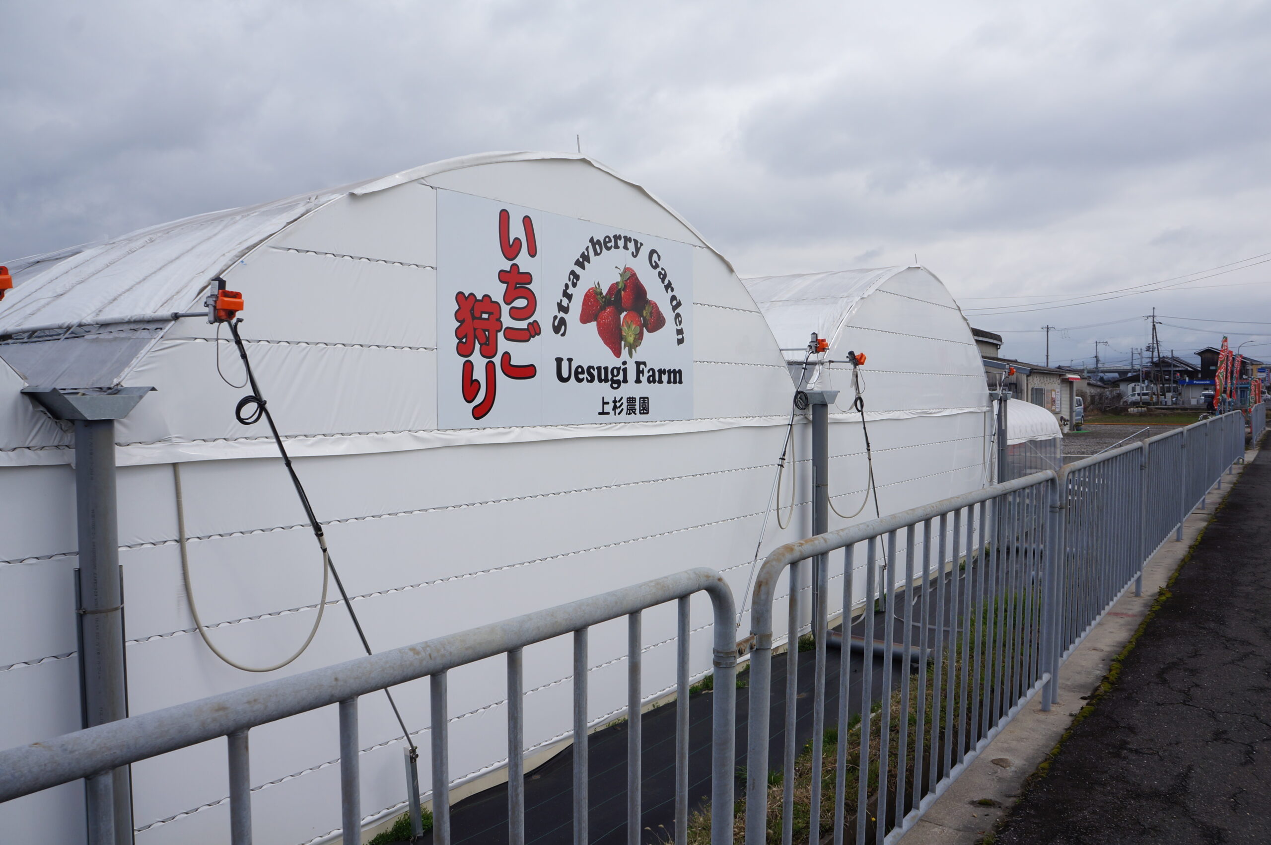 DSC08903 | | Another Kyoto Official Travel Guide