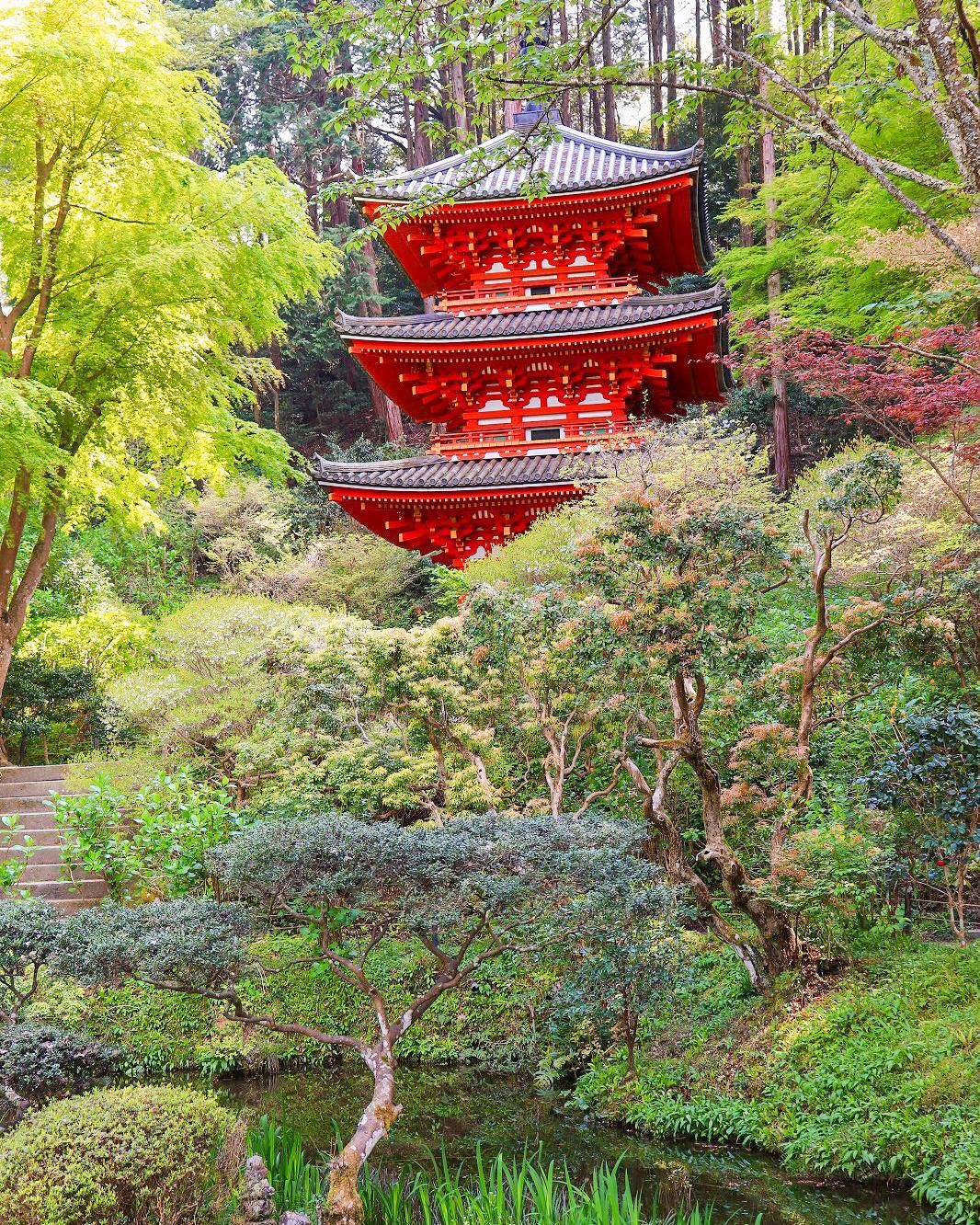 Top 10 Tourist Attractions to Check-In to Over the Four Seasons in ...