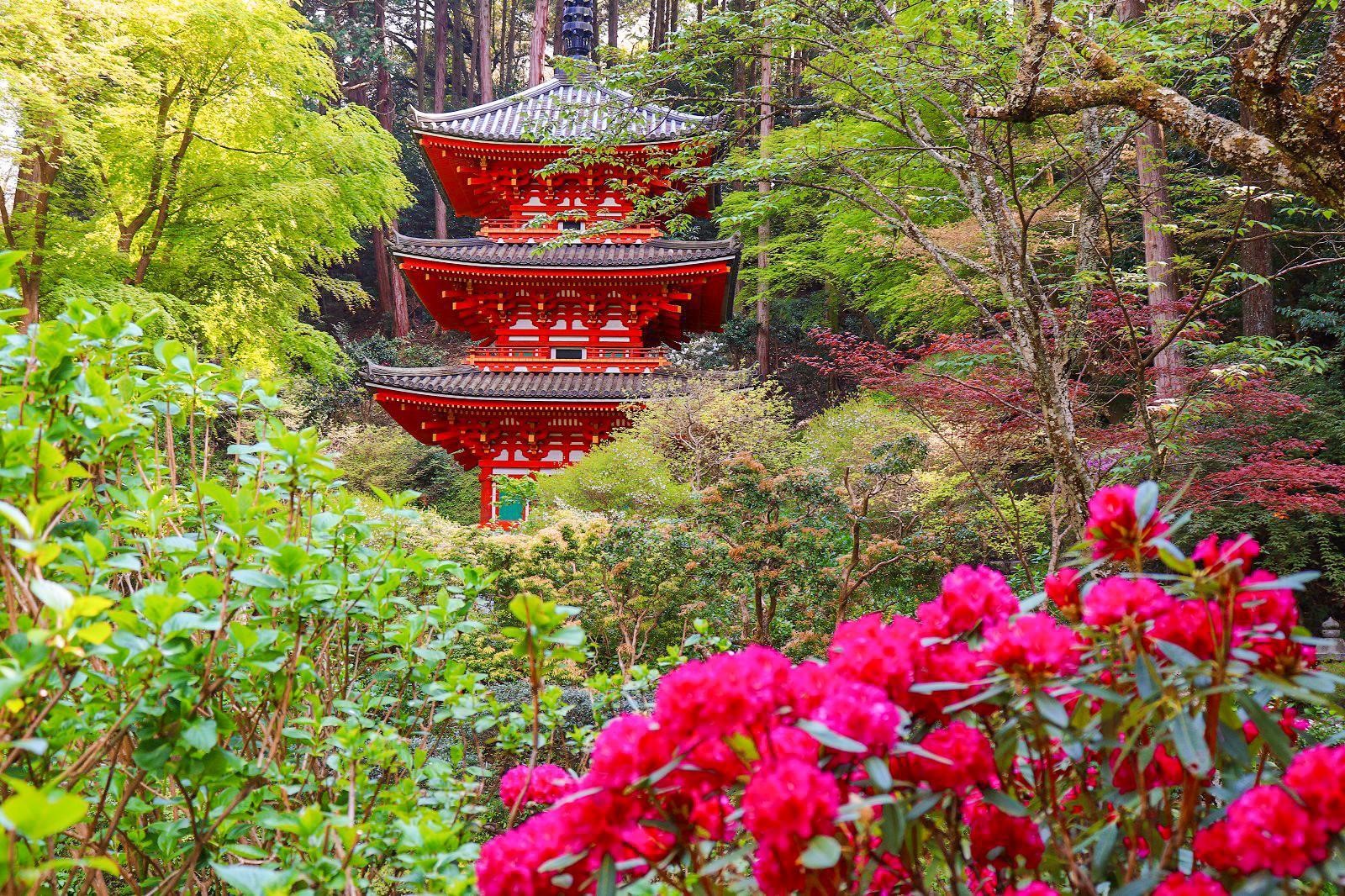 Top 10 Tourist Attractions to Check-In to Over the Four Seasons in ...