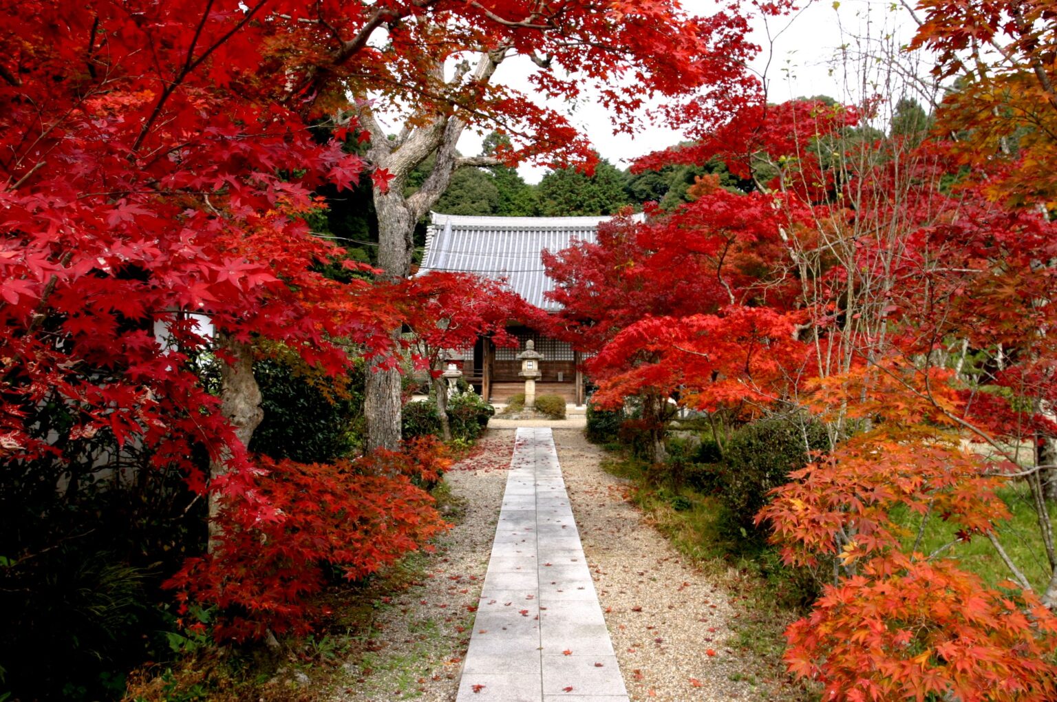 Beyond the Anime: A Day Trip Exploring Ikkyu-san’s Temple (Shuon-an ...