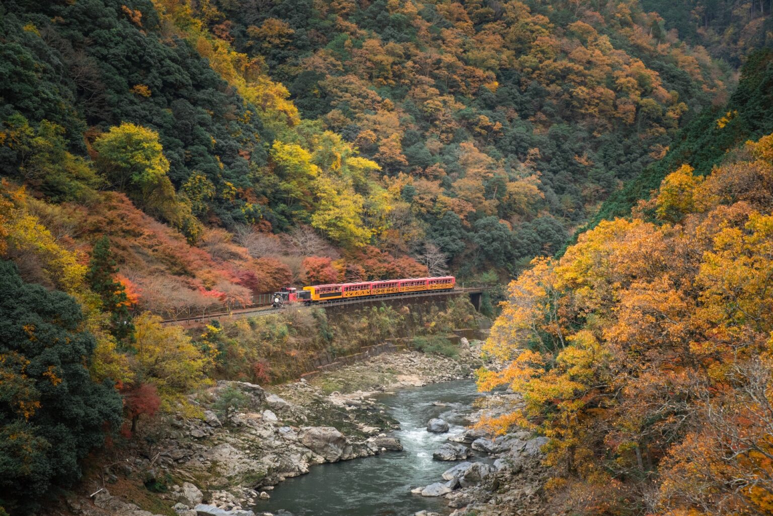 Sagano Romantic Train | Sightseeing Spots | Another Kyoto Official ...
