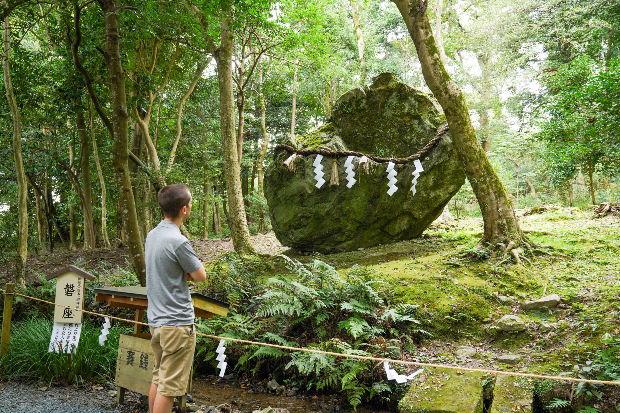 Experience the Inaka: Two Delightful Farmstays in Kyoto’s Countryside ...