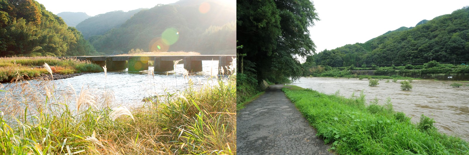 [Rent a Car and Explore the Southern Part of Kyoto 2] Find hidden Kyoto ...