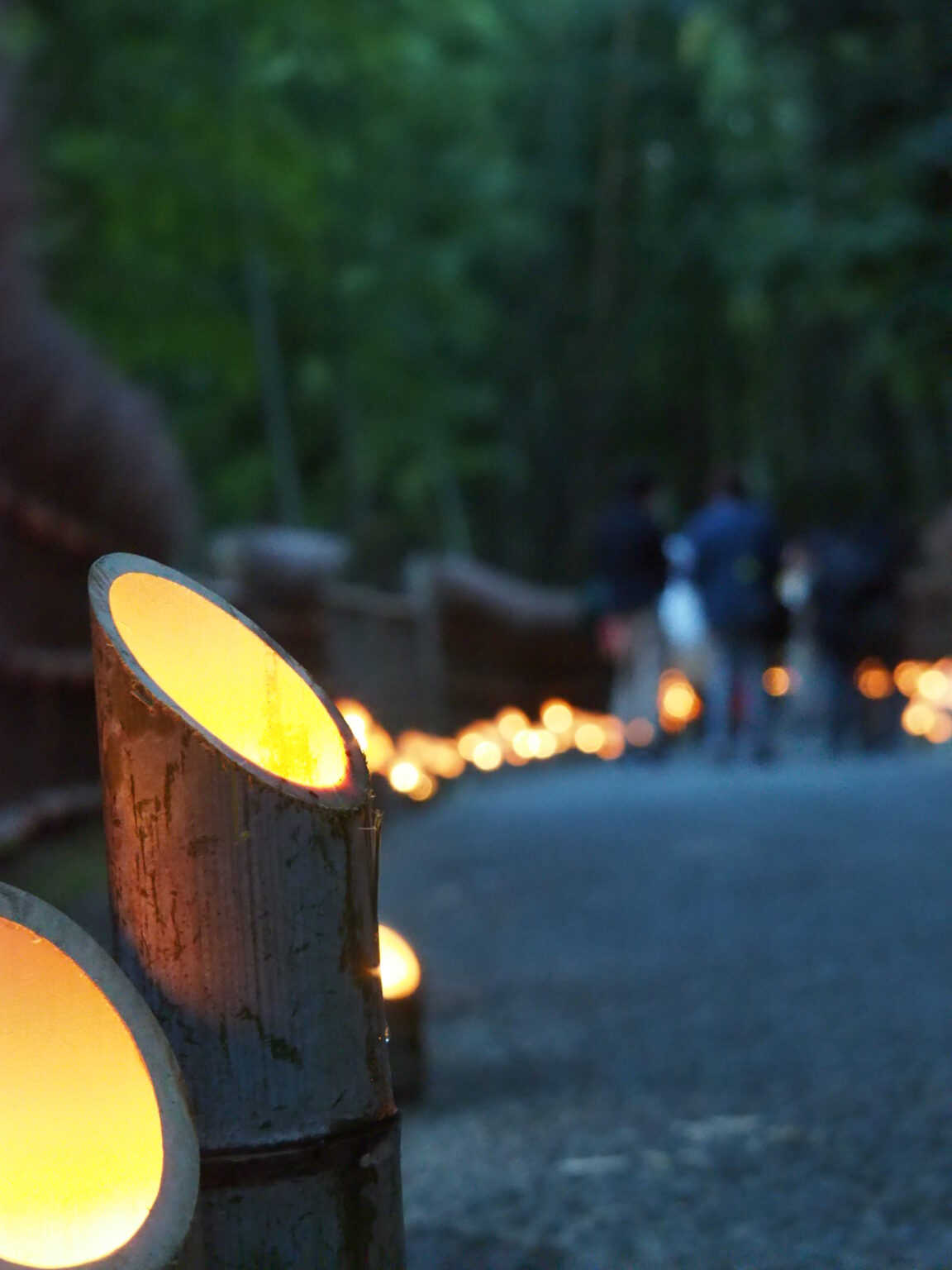 Kyoto City Rakusai Bamboo Park | Sightseeing Spots | Another Kyoto ...