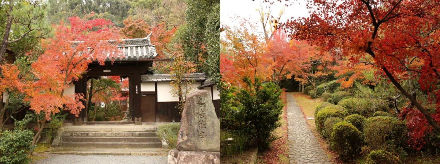 8 Spectacular and Secluded Spots to see Autumn Leaves in Kyoto ...