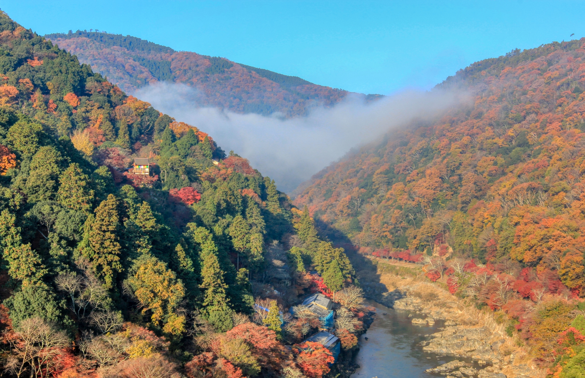 8 Spectacular and Secluded Spots to see Autumn Leaves in Kyoto ...