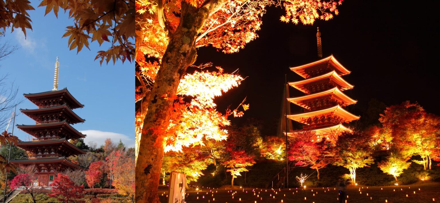 8 Spectacular and Secluded Spots to see Autumn Leaves in Kyoto ...