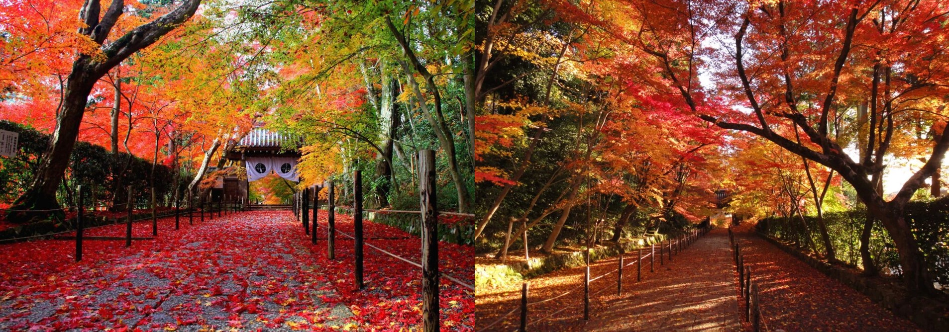 8 Spectacular and Secluded Spots to see Autumn Leaves in Kyoto ...