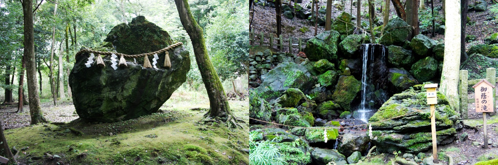 Exploring the Water Culture of Woodland Kyoto | Inspiration | Another ...