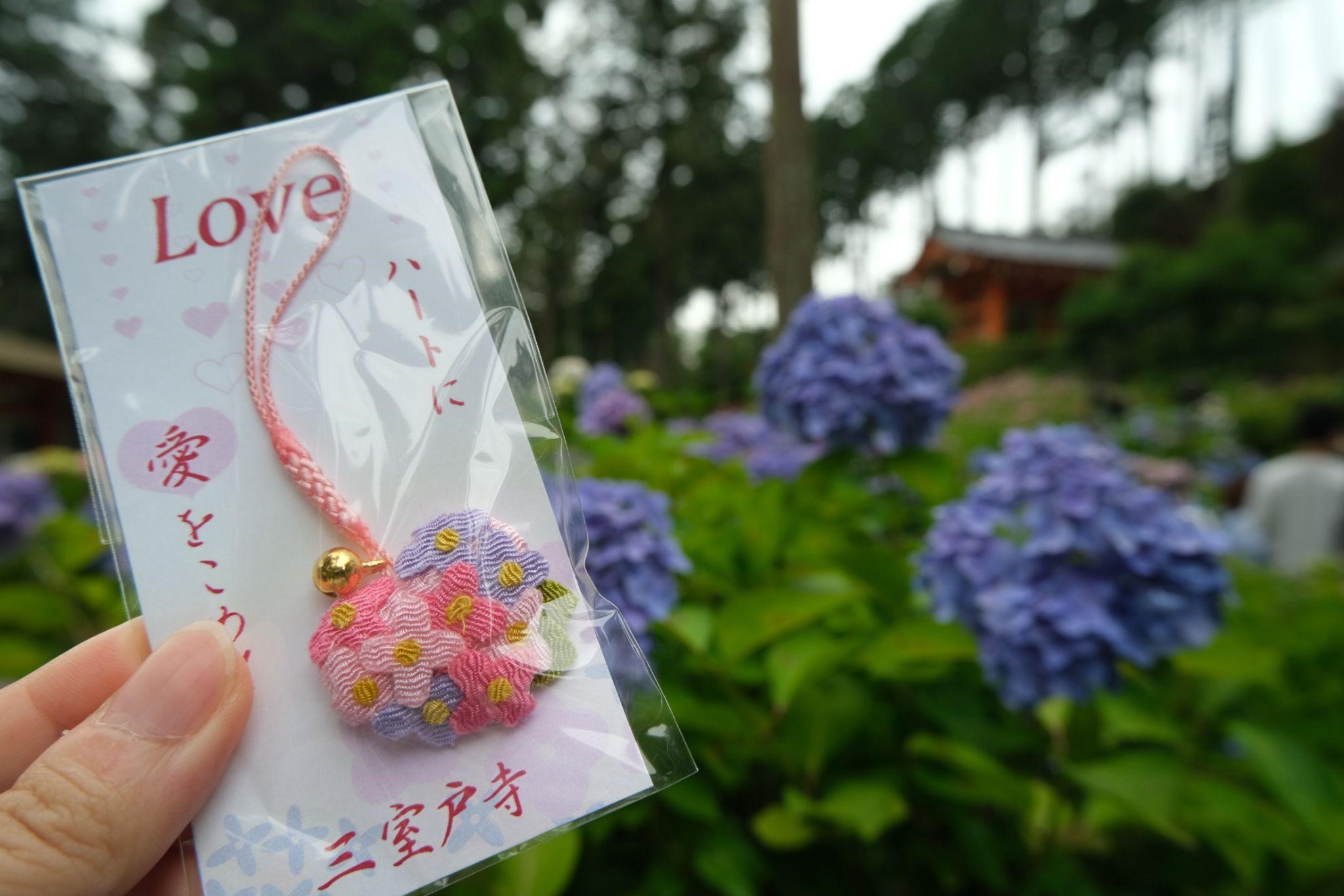 Charms and Fortunes, Oh my! Explore Kyoto’s Cute Omamori and Omikuji ...