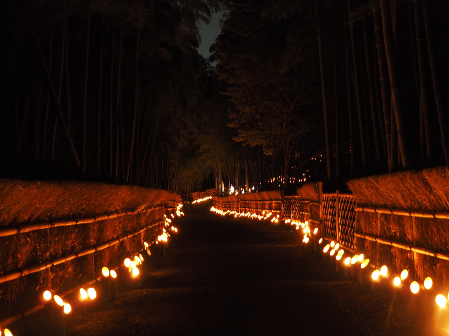 Myokian Temple | Sightseeing Spots | Another Kyoto Official Travel Guide