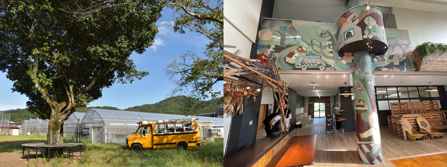 Kyoto’s Fermented Traditions: Health, Beauty, and Bold Flavors ...