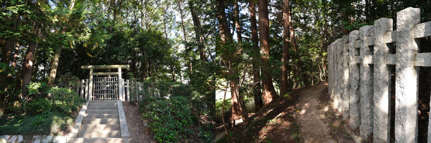 One-Day Cycling Journey Through Wazuka’s Calming Tea Fields ...