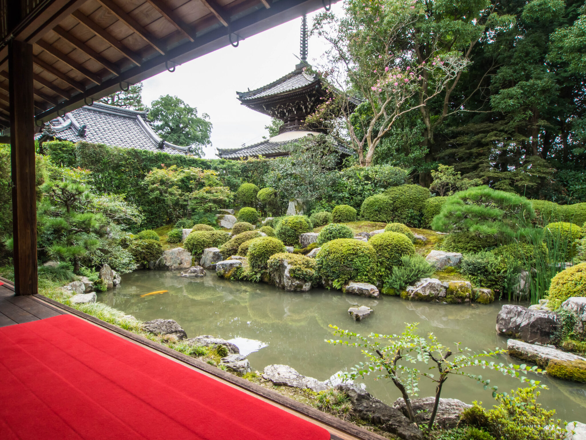 Sagano Romantic Train | Sightseeing Spots | Another Kyoto Official ...