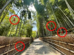 Kyoto’s Muko Bamboo Path and the Artisanal Mastery Behind It ...